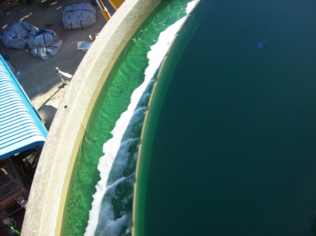 Pin Bed Clarifier - SpinTek Filtration